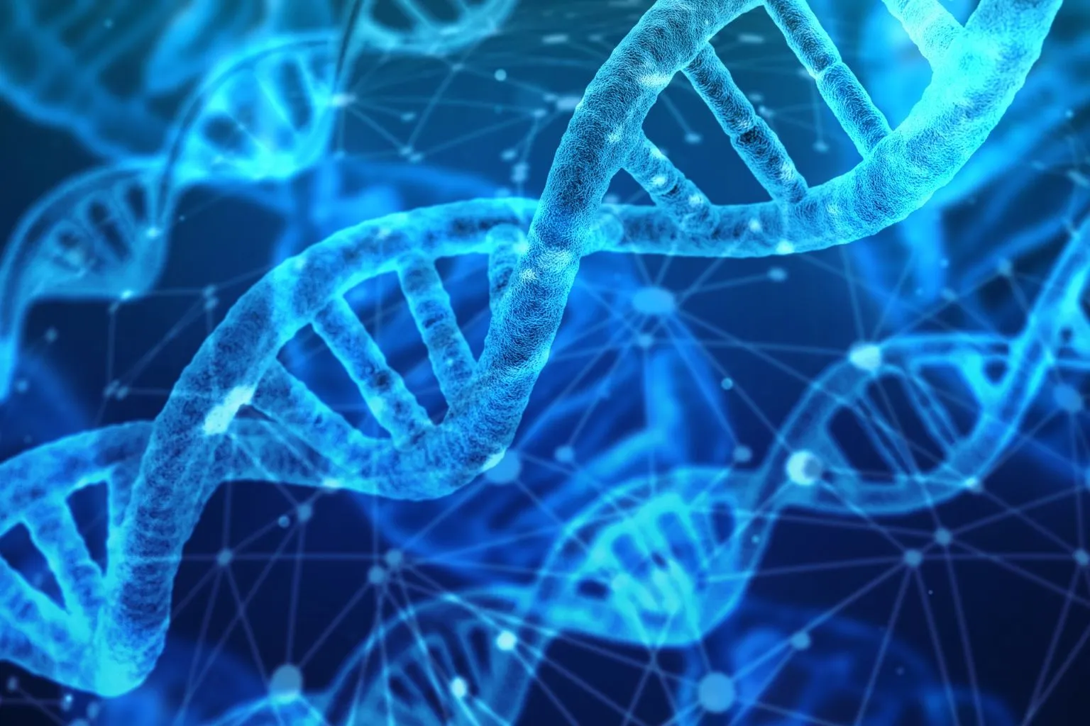 New research puts genetic influence on lifespan at around 50%